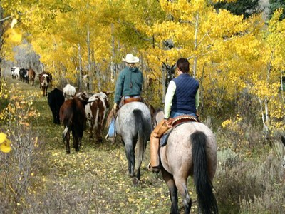 seasons | Colorado Ranch