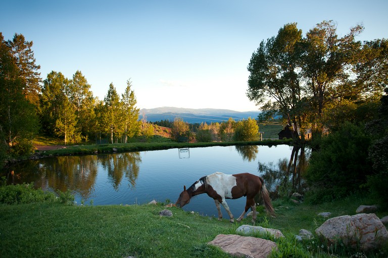Black Mountain Colorado Dude Ranch - Colorado Dude & Guest Ranch ...