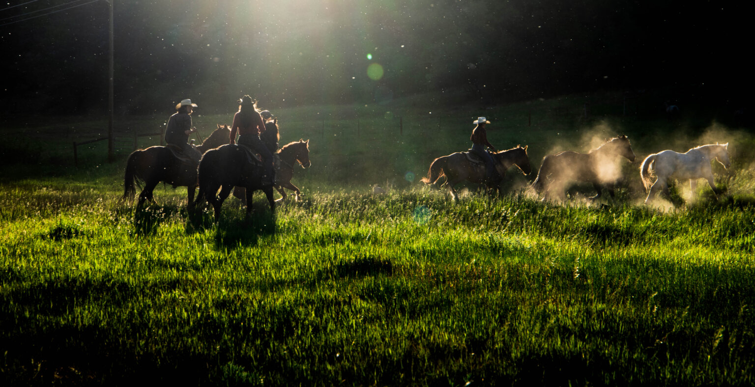 Best Dude Ranches - Colorado Dude & Guest Ranch Association - Dude ...