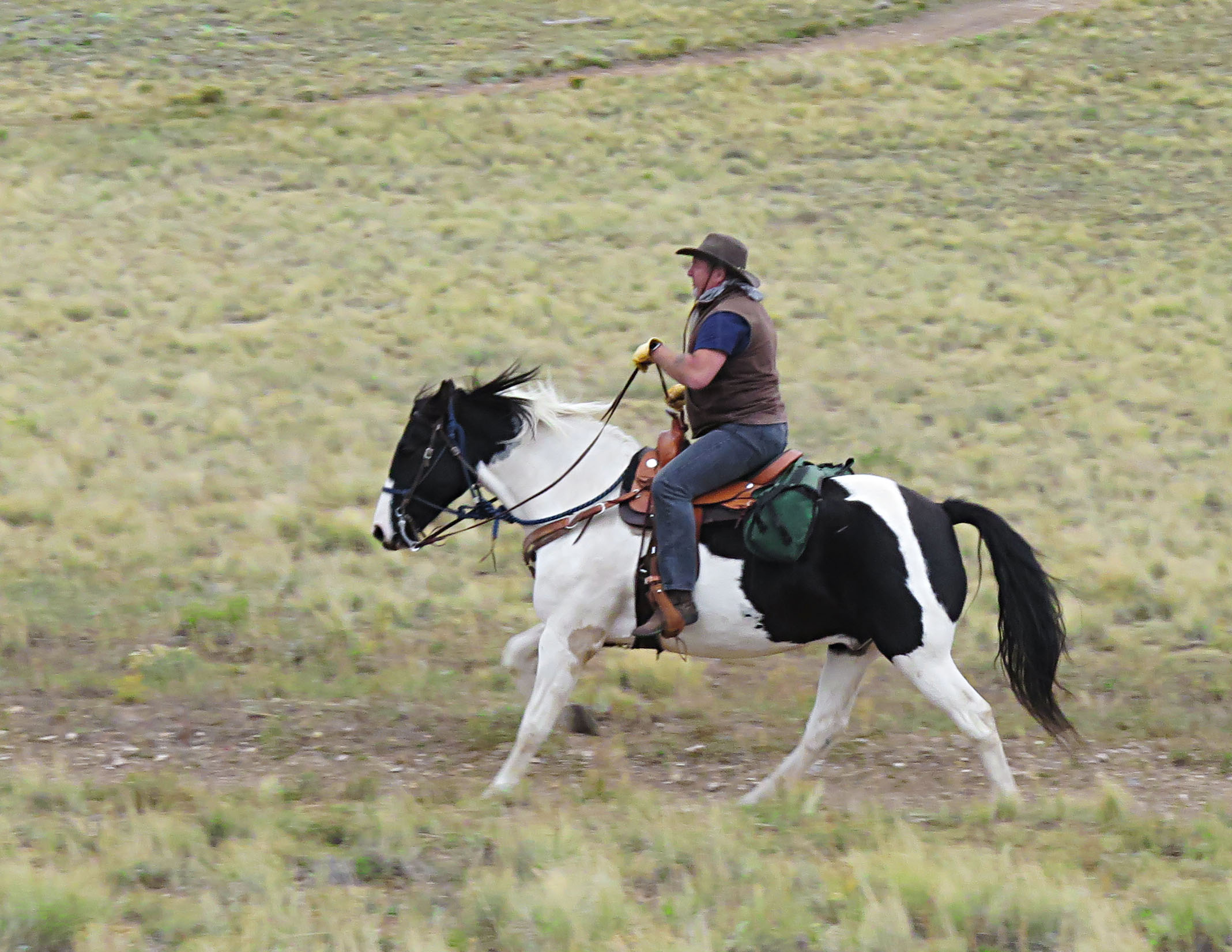 No Better Time To Book Your Colorado Dude Ranch Vacation | Colorado ...