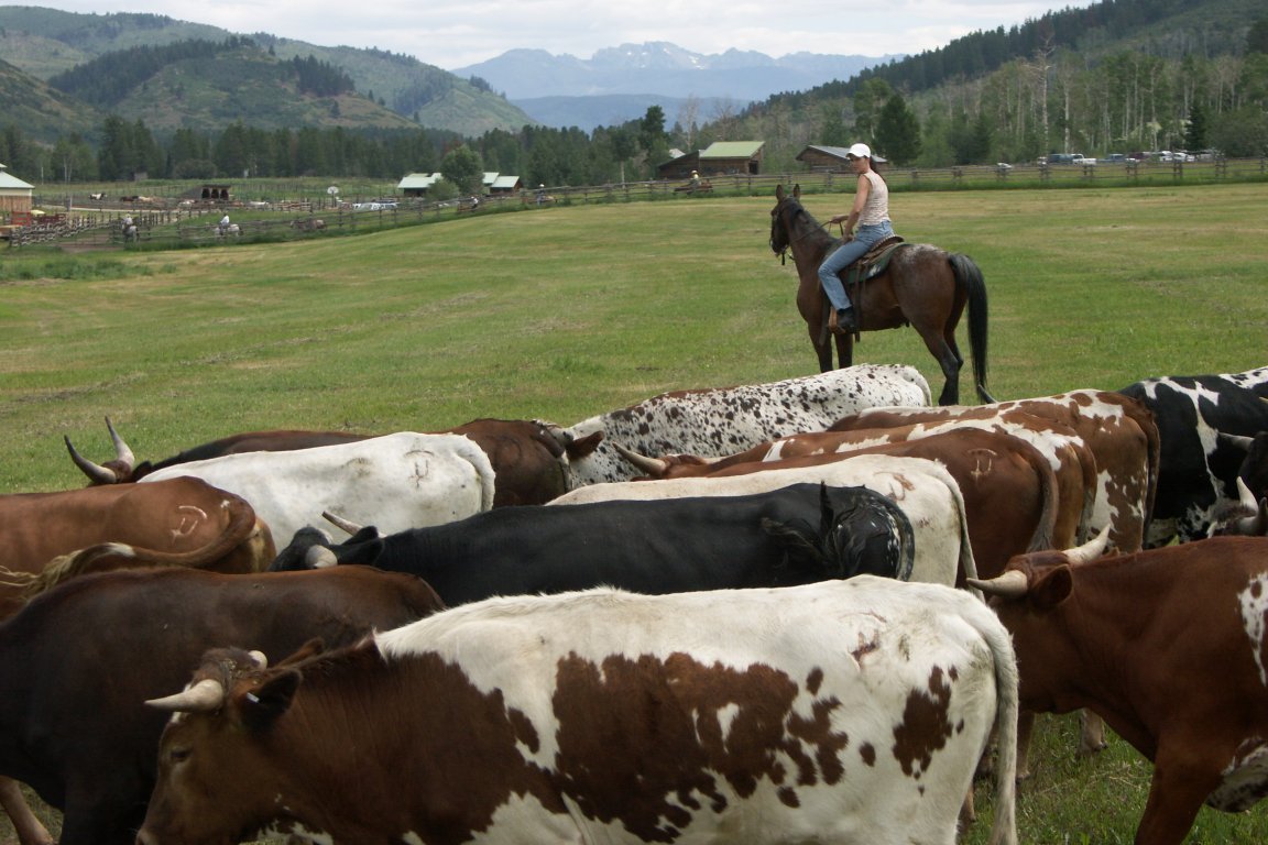 Planning Your Dude Ranch Vacation - Colorado Dude & Guest Ranch ...