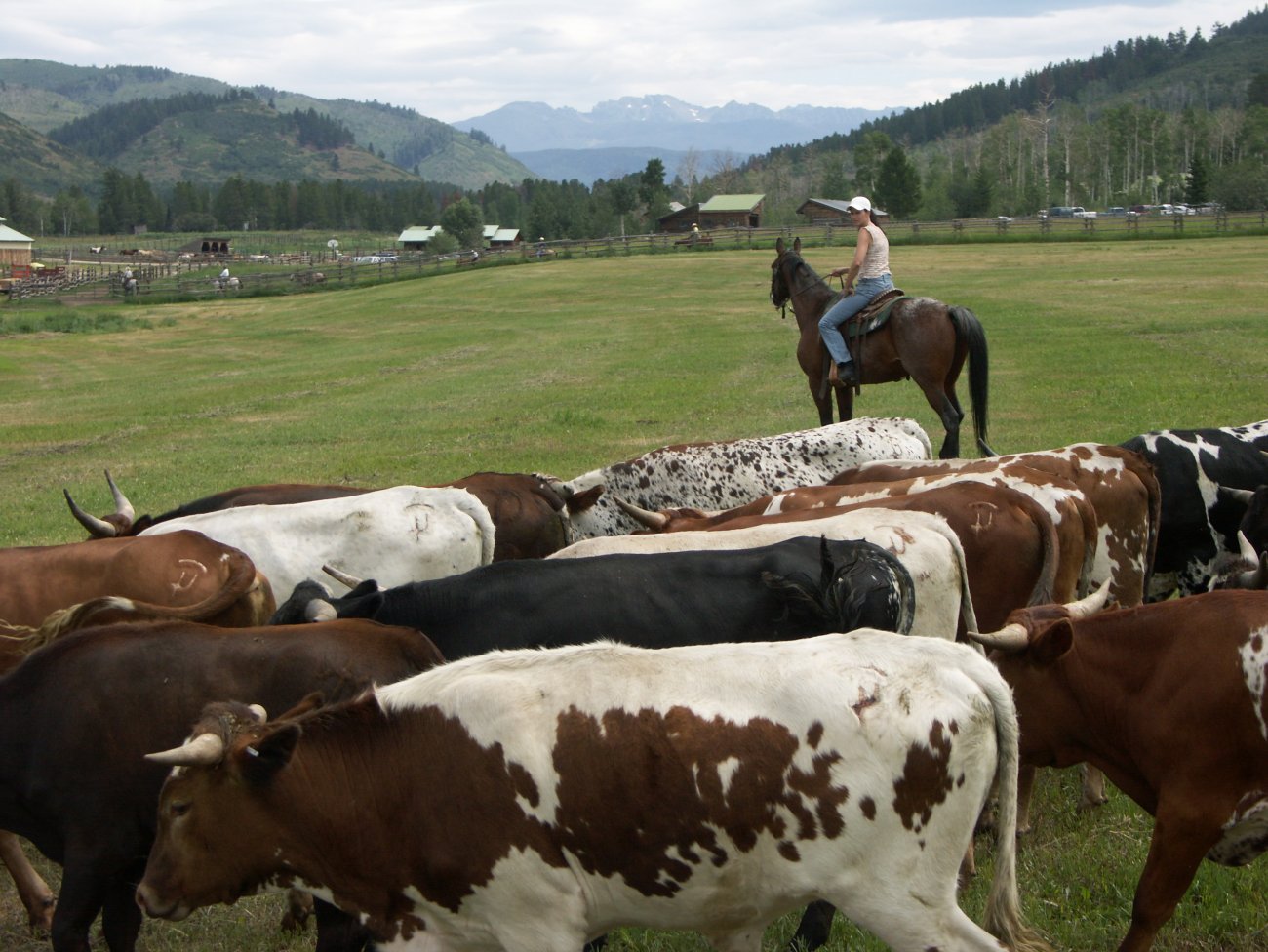 Family Reunion Locations | Colorado Ranch
