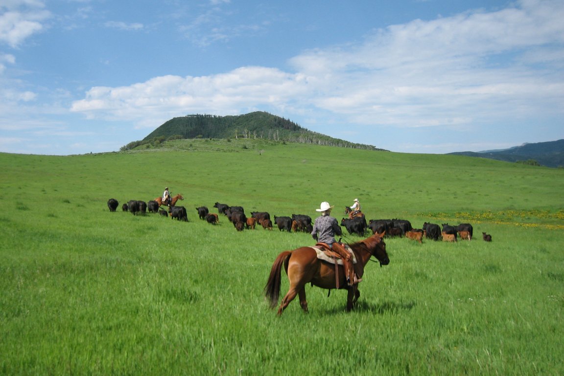 Planning Your Dude Ranch Vacation - Colorado Dude & Guest Ranch ...