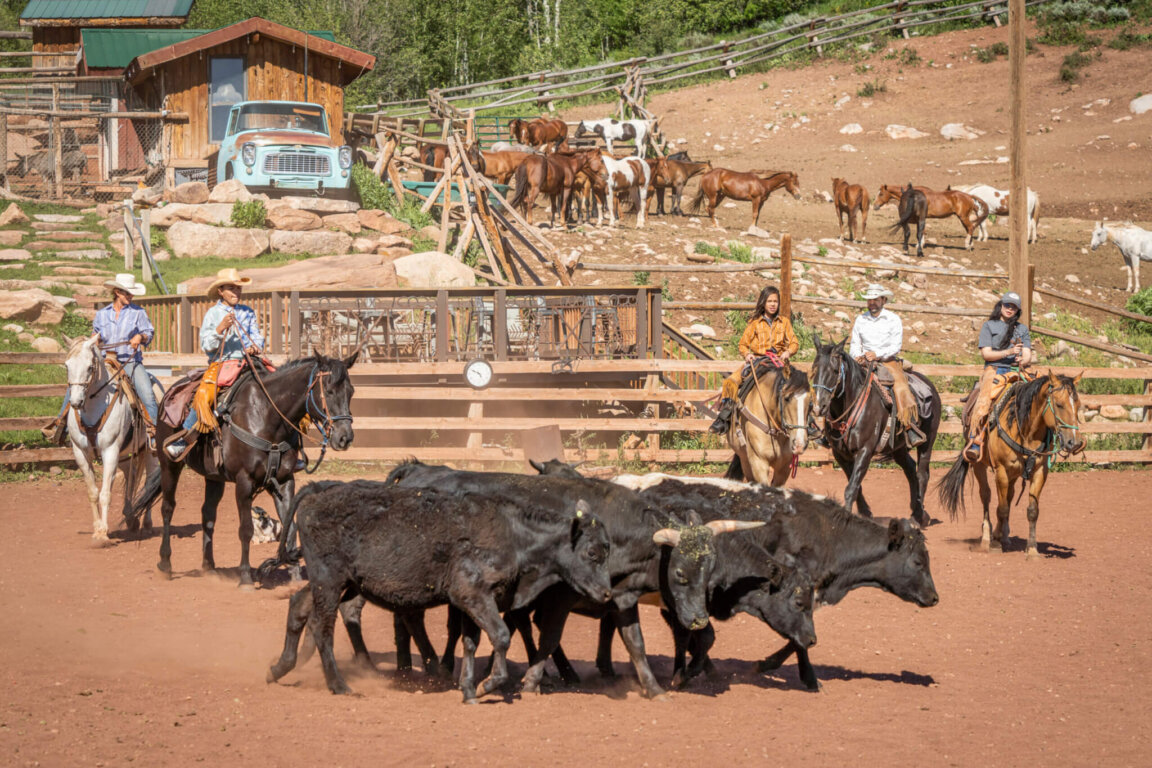 Planning Your Dude Ranch Vacation - Colorado Dude & Guest Ranch ...