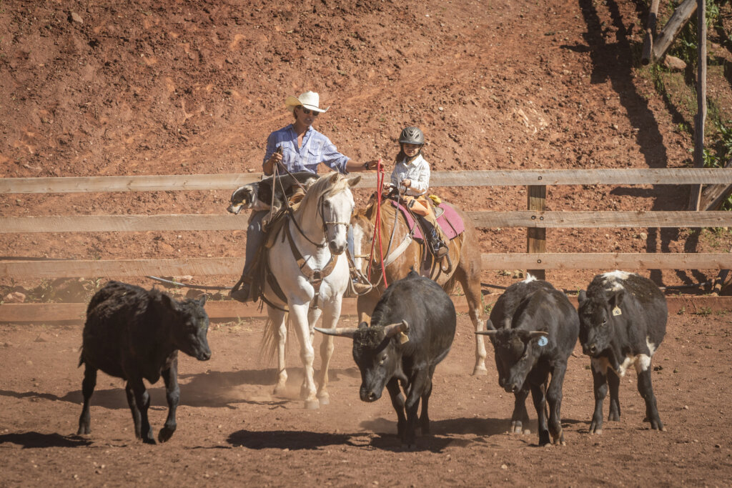 The Ranch Experience - Colorado Dude & Guest Ranch Association - Family ...
