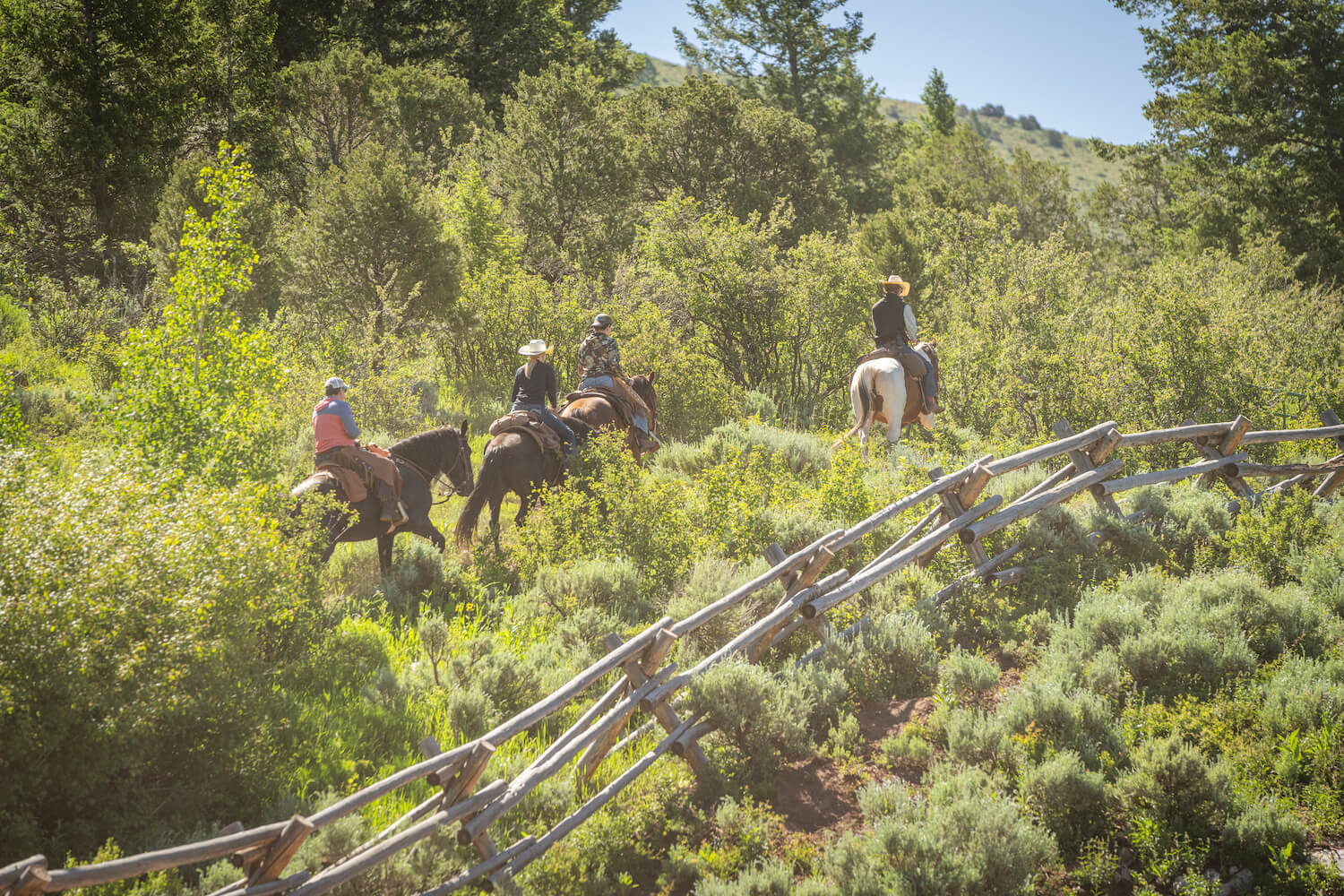 _JAD0158 | Colorado Ranch